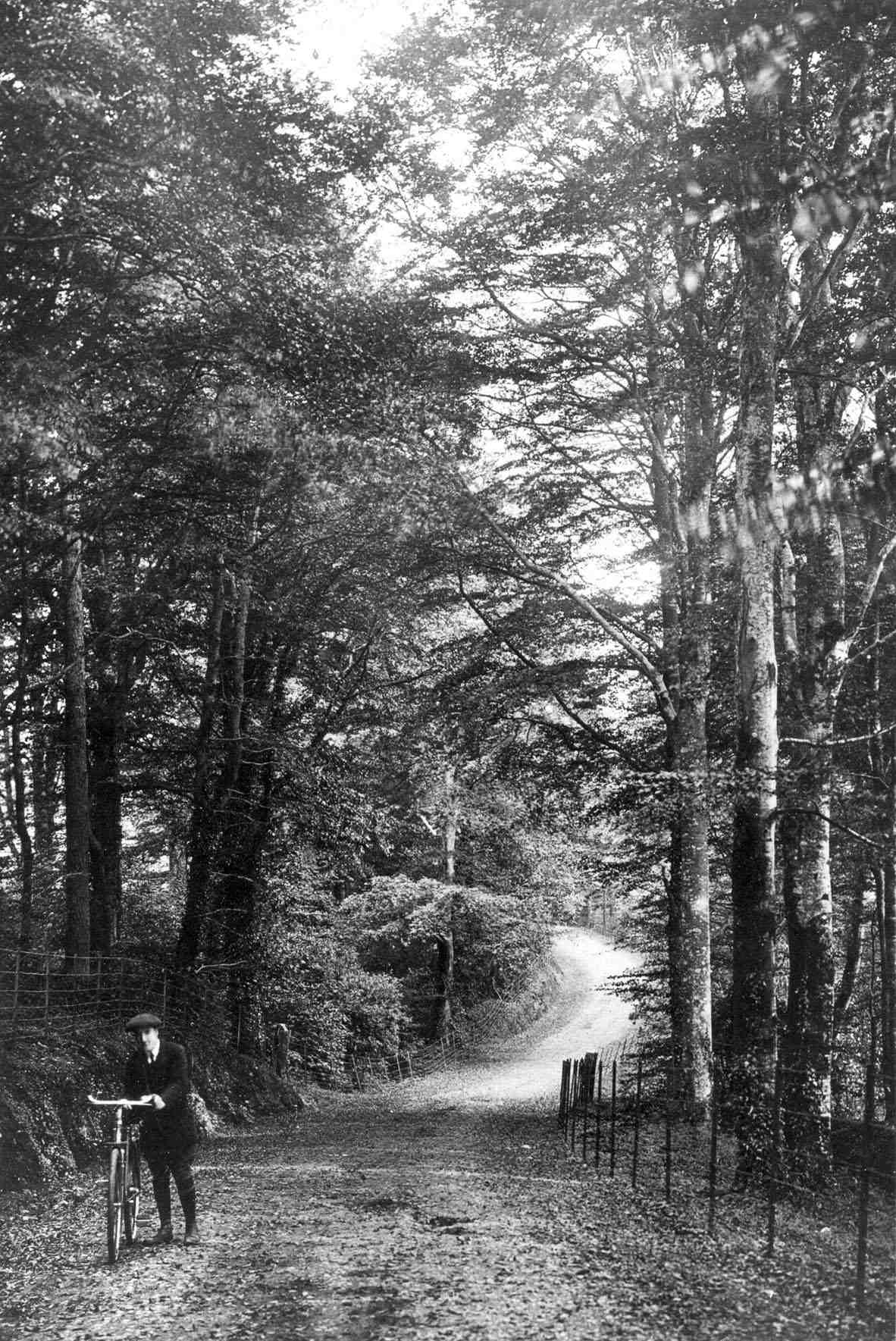 Old Tamerton Foliot – Tamerton Foliot Village