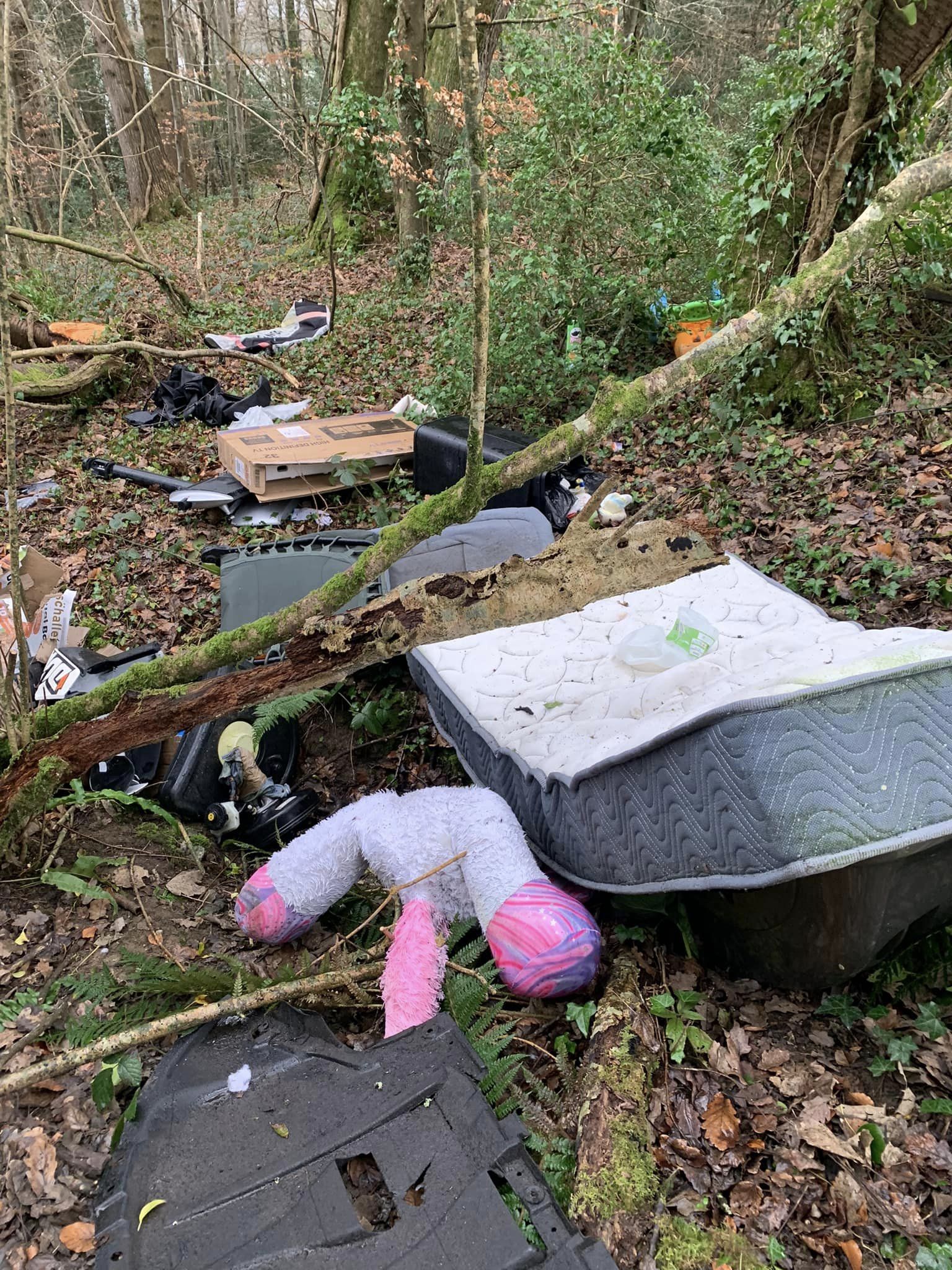 Station Road – Tamerton Foliot Village